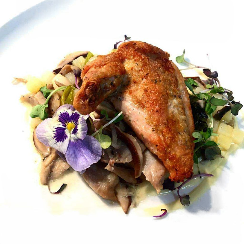 Products - Cat Hollow Farm | Meat, Eggs, Produce, Livestock