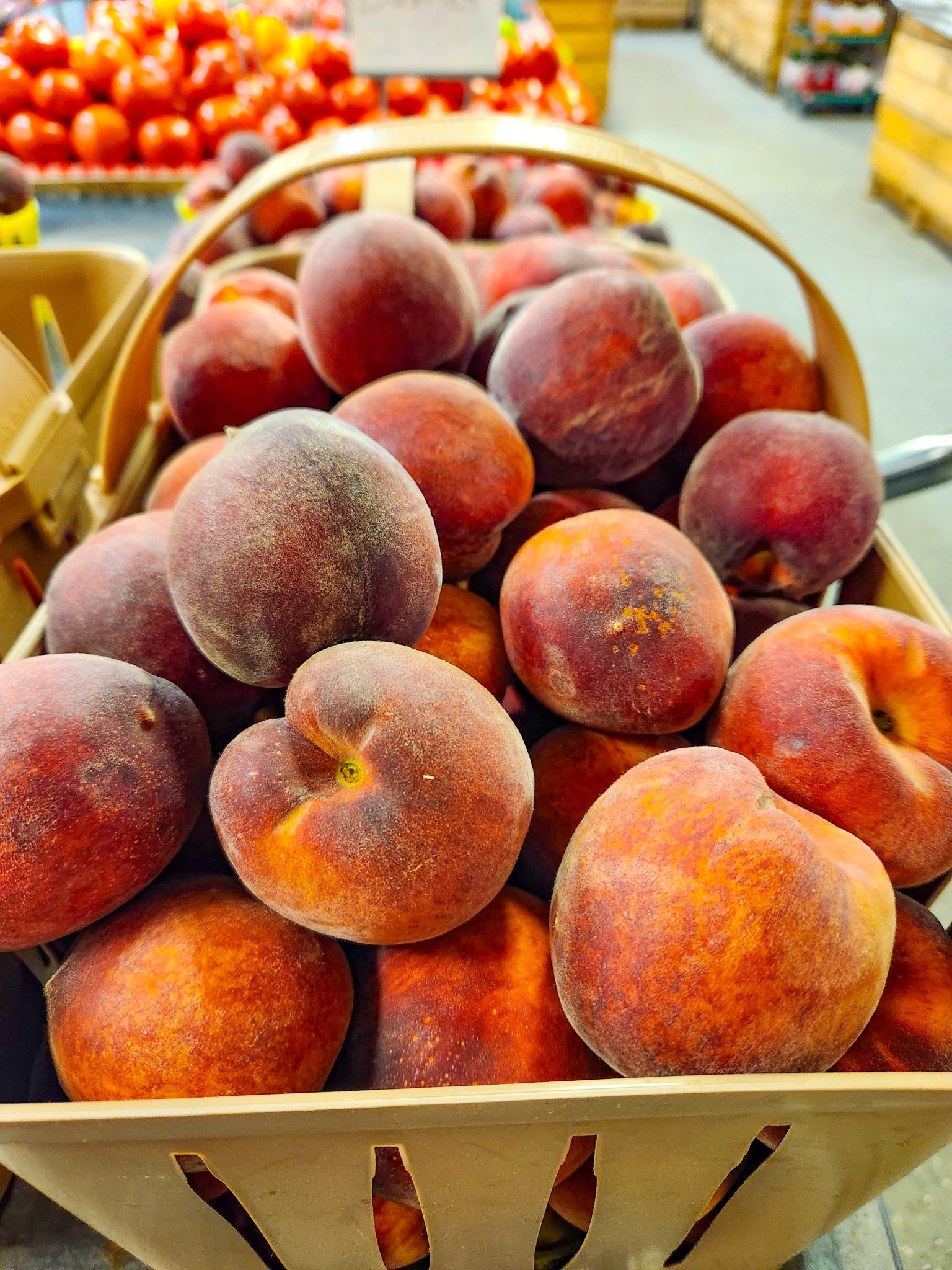 Contact - Cat Hollow Farm | Get in Touch Today!